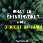 What is Shinrinyoku (Forest Bathing)? Health Benefits Explained